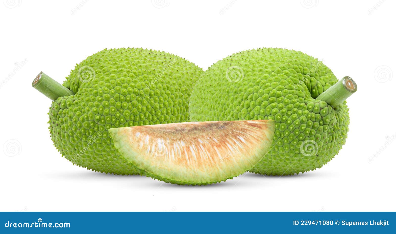 Fruta De Pan Sobre Fondo Blanco Foto de archivo - Imagen de gato, sano ...