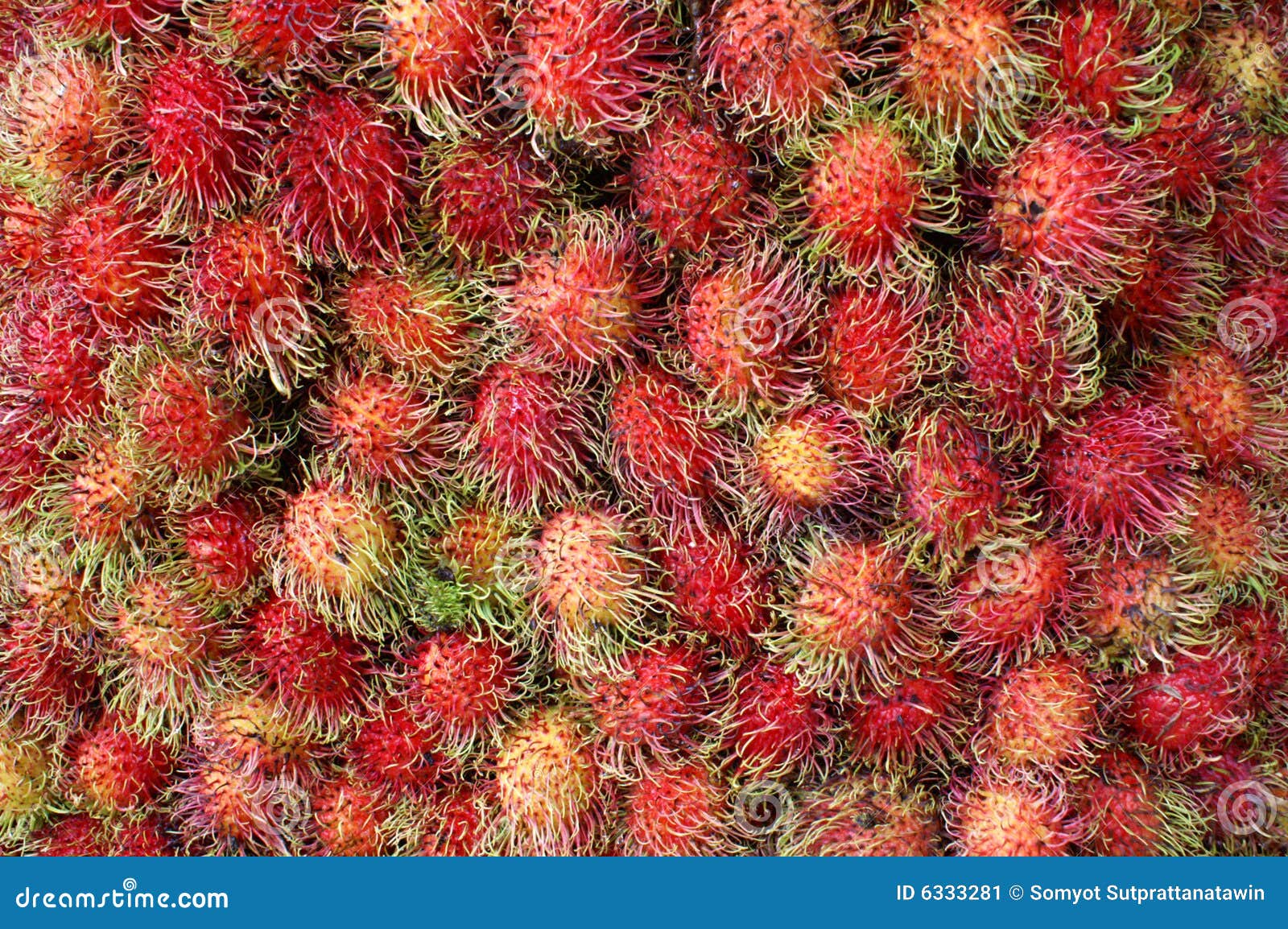 Fruta de Rabutan imagem de stock. Imagem de vermelho, fresco - 6333281