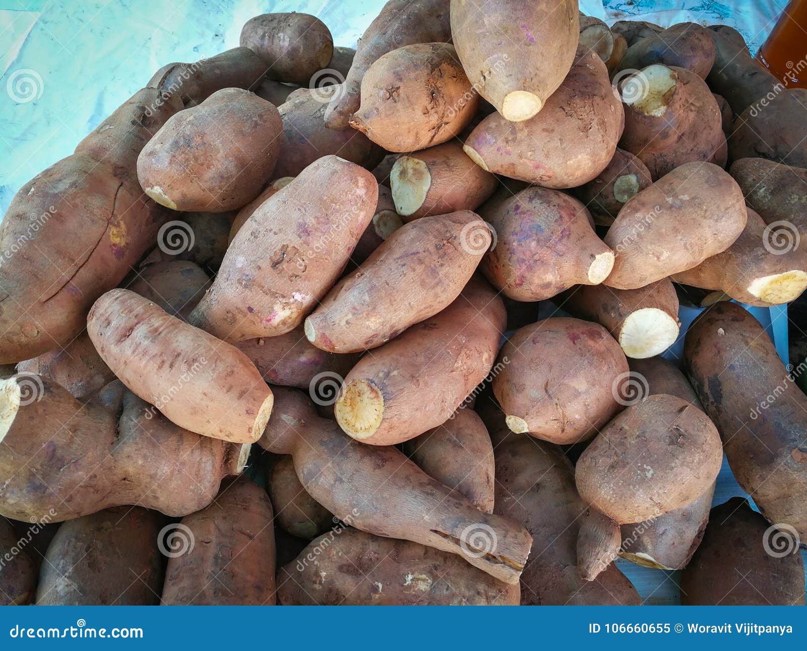 Fruta De Yacon O Sonchifolius Del Smallanthus Imagen de archivo ...