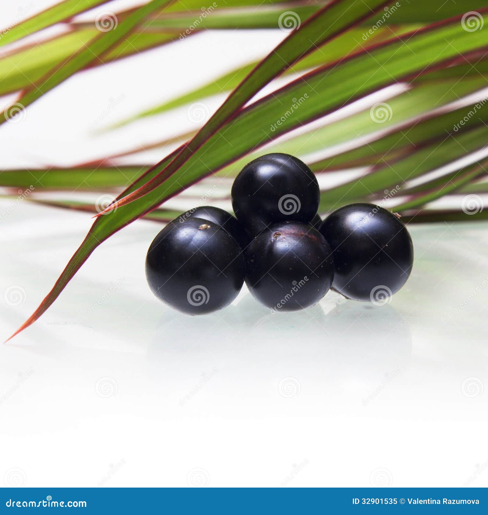 Fruta Del Acai Del Amazonas Imagen de archivo - Imagen de tropical ...