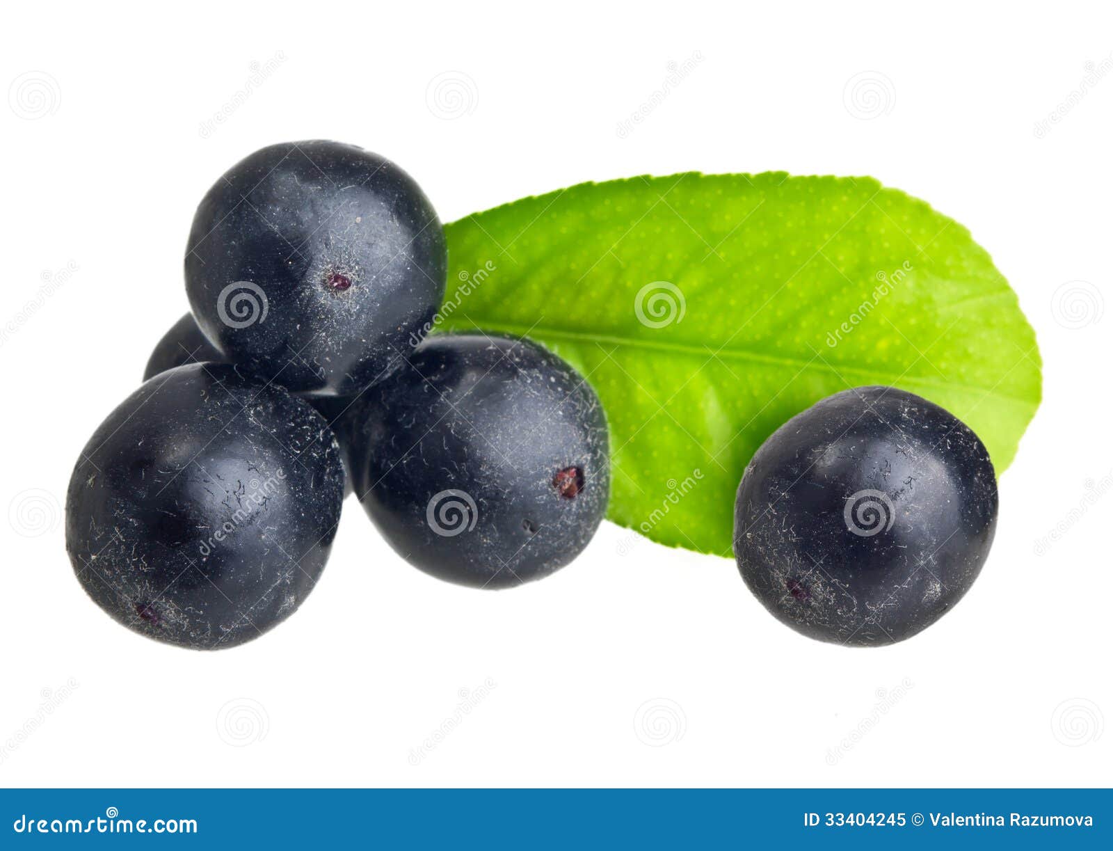 Fruta Del Acai Del Amazonas Con La Hoja Imagen de archivo - Imagen de ...