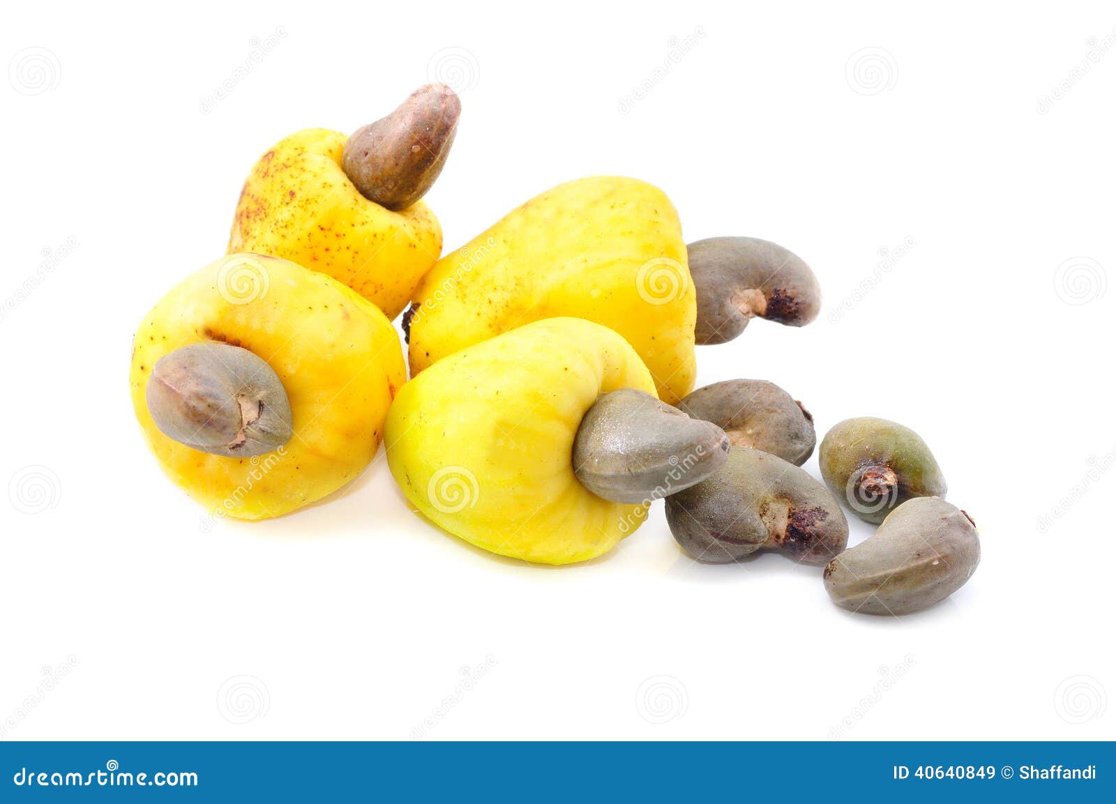 Fruta del anacardo imagen de archivo. Imagen de aislado - 40640849