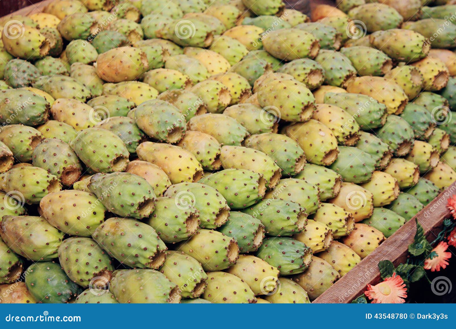 Fruta del cacto foto de archivo. Imagen de dulce, dieta - 43548780