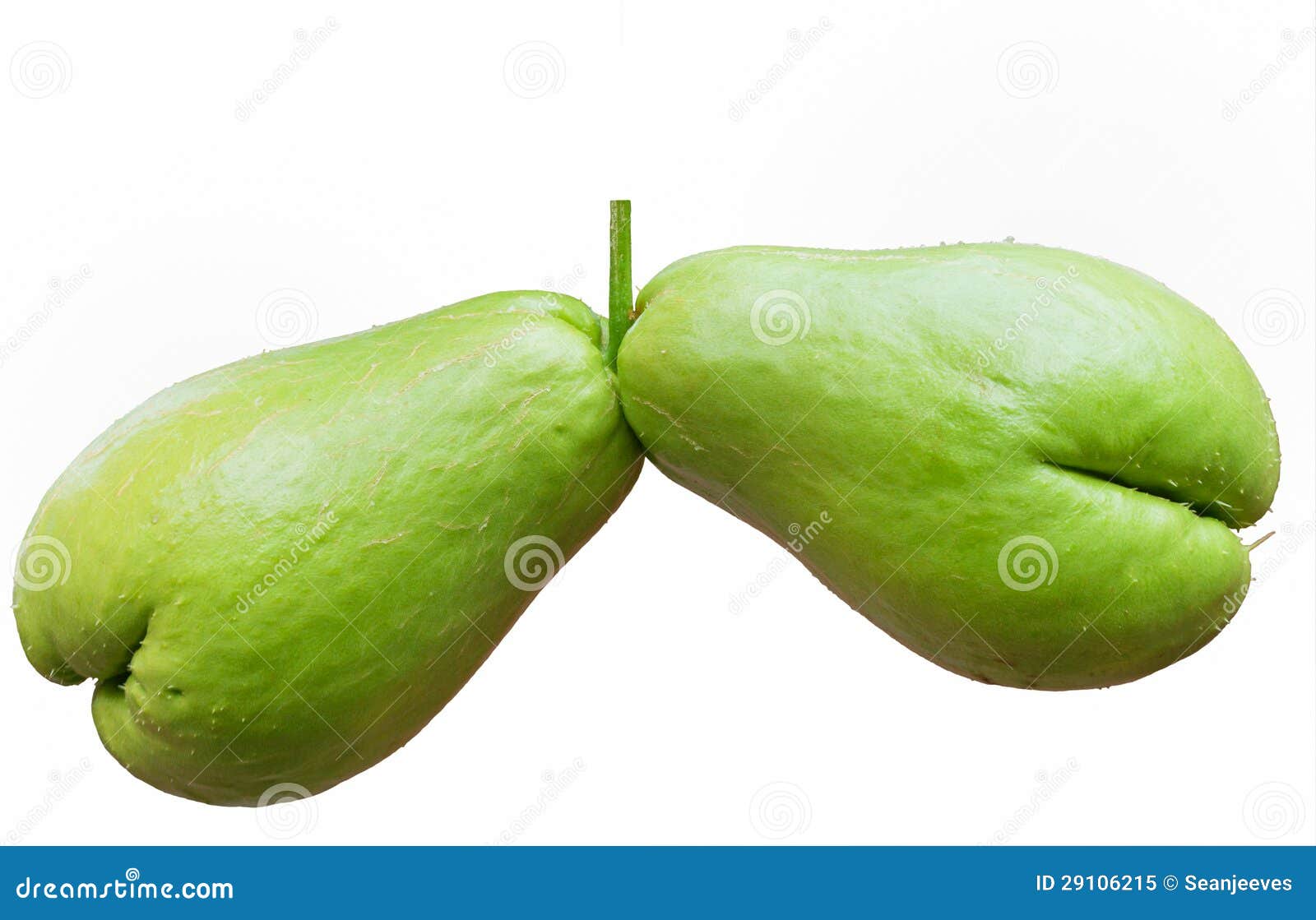 Fruta del chayote imagen de archivo. Imagen de crudo - 29106215