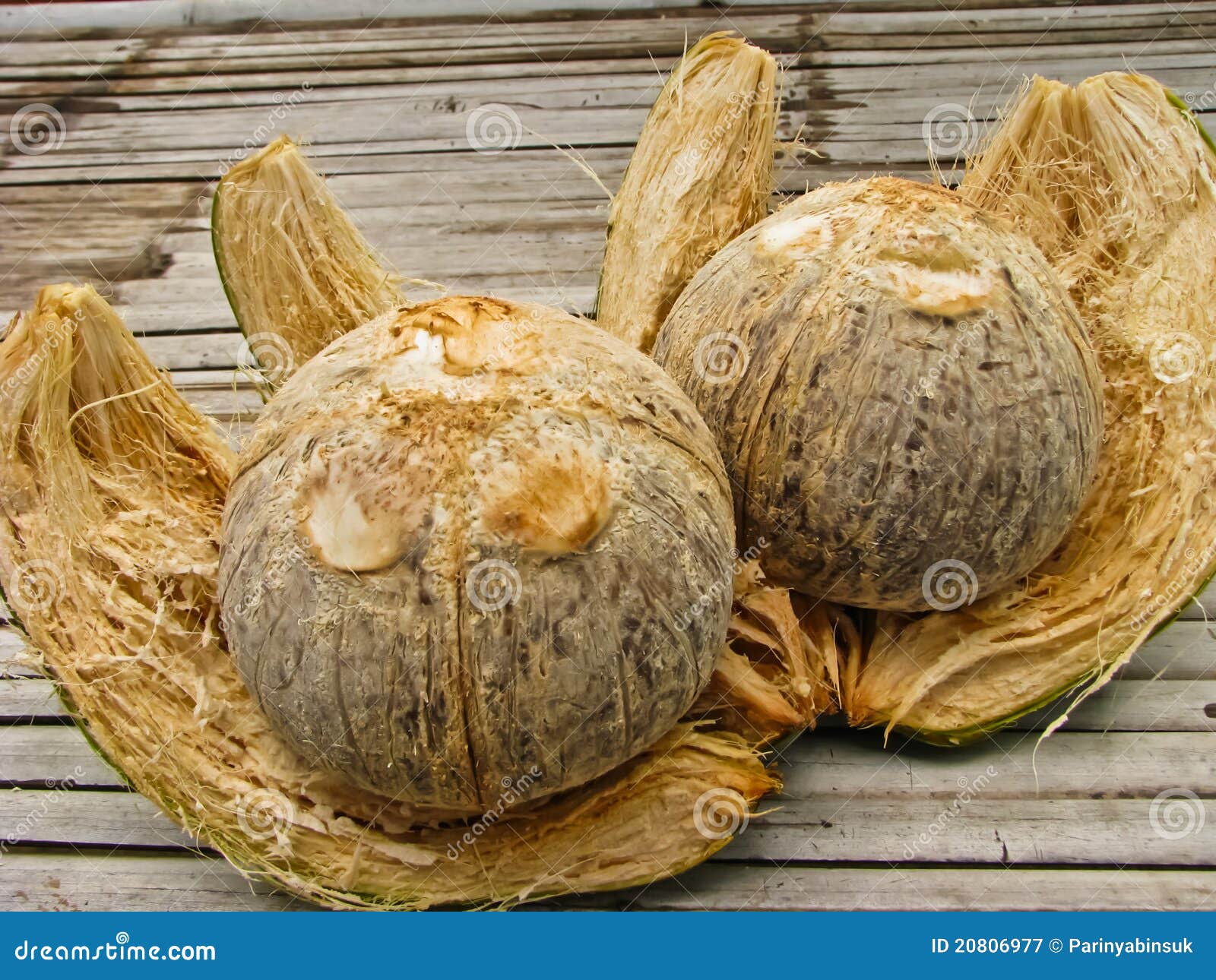 Fruta del coco imagen de archivo. Imagen de primer, tropical - 20806977