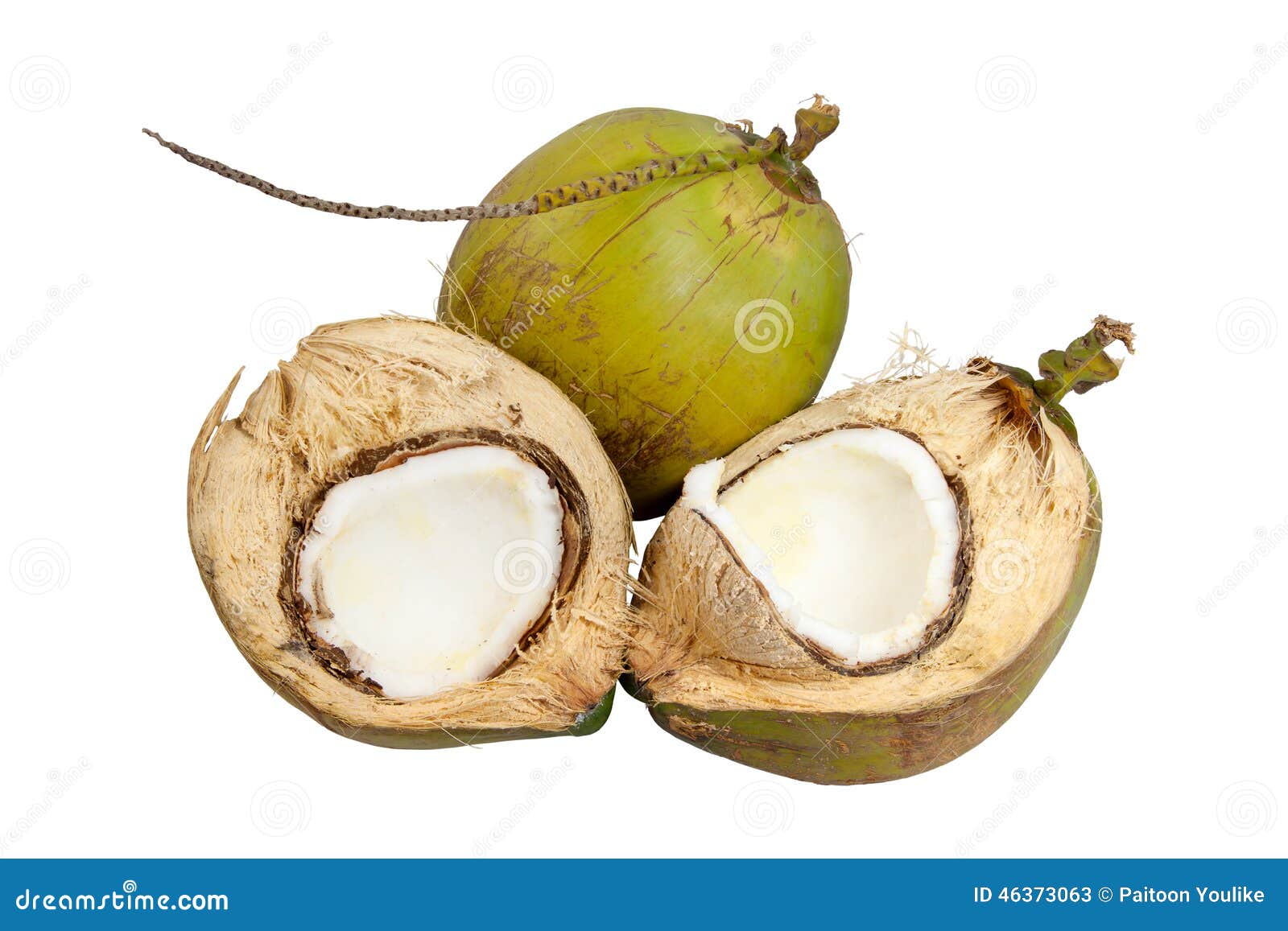 Fruta del coco imagen de archivo. Imagen de gente, imagen - 46373063