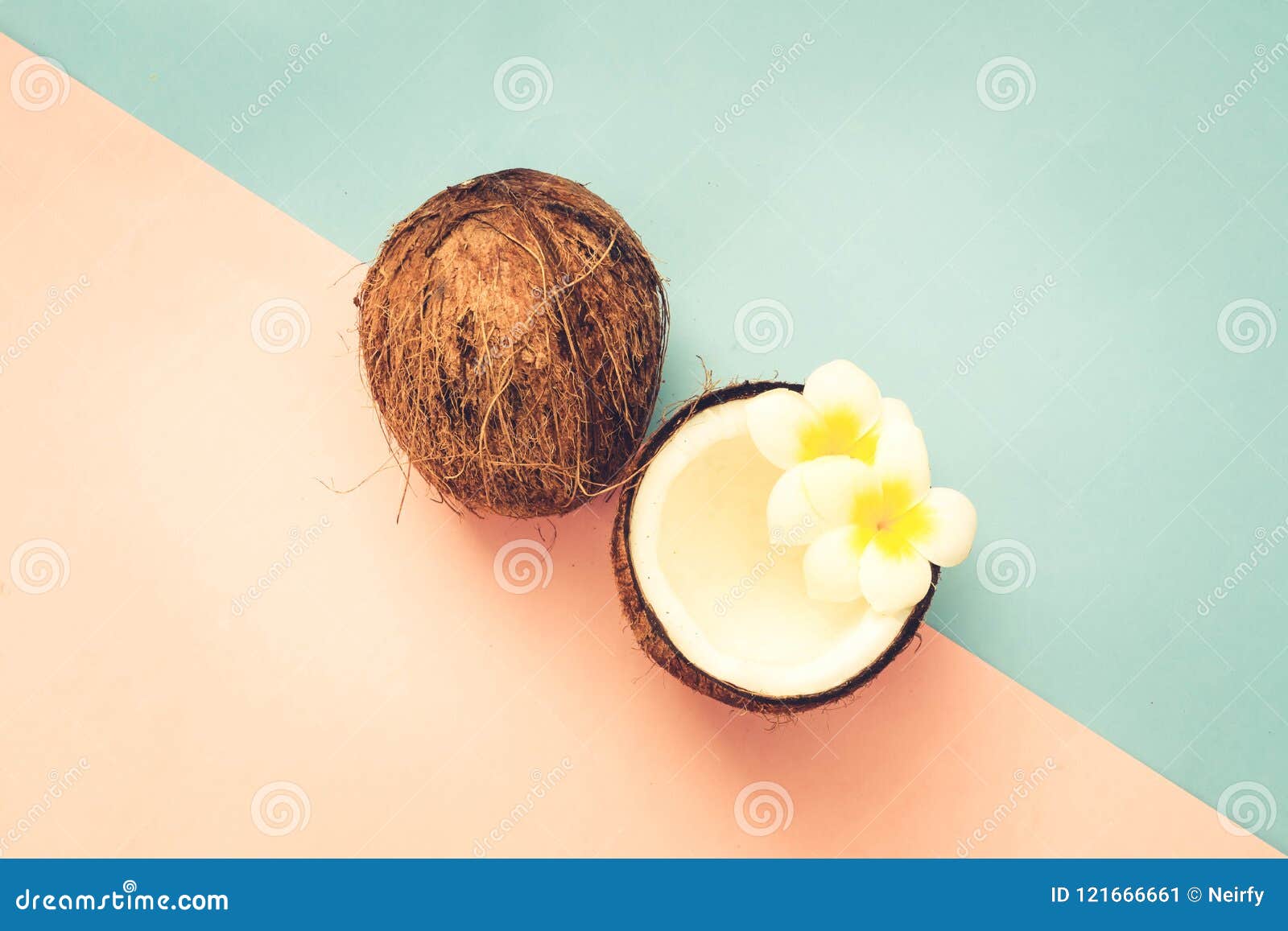 Fruta Del Coco, Estilo Mínimo Imagen de archivo - Imagen de fresco ...