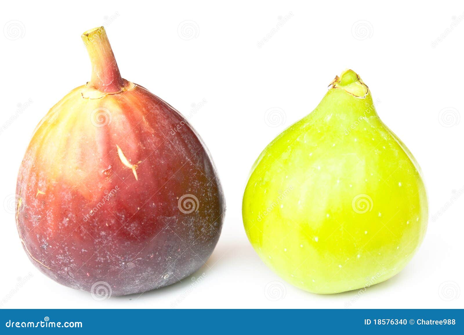 Fruta del higo foto de archivo. Imagen de color, travieso - 18576340