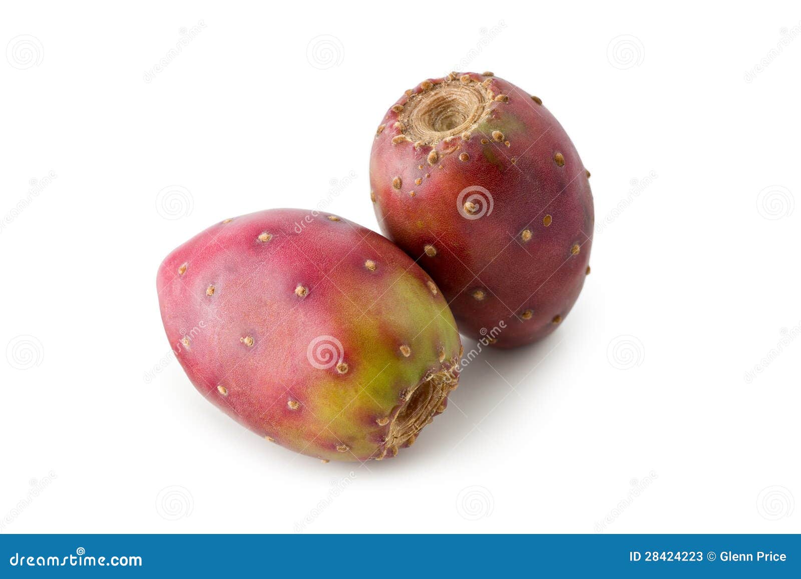 Fruta del higo chumbo imagen de archivo. Imagen de cacto - 28424223