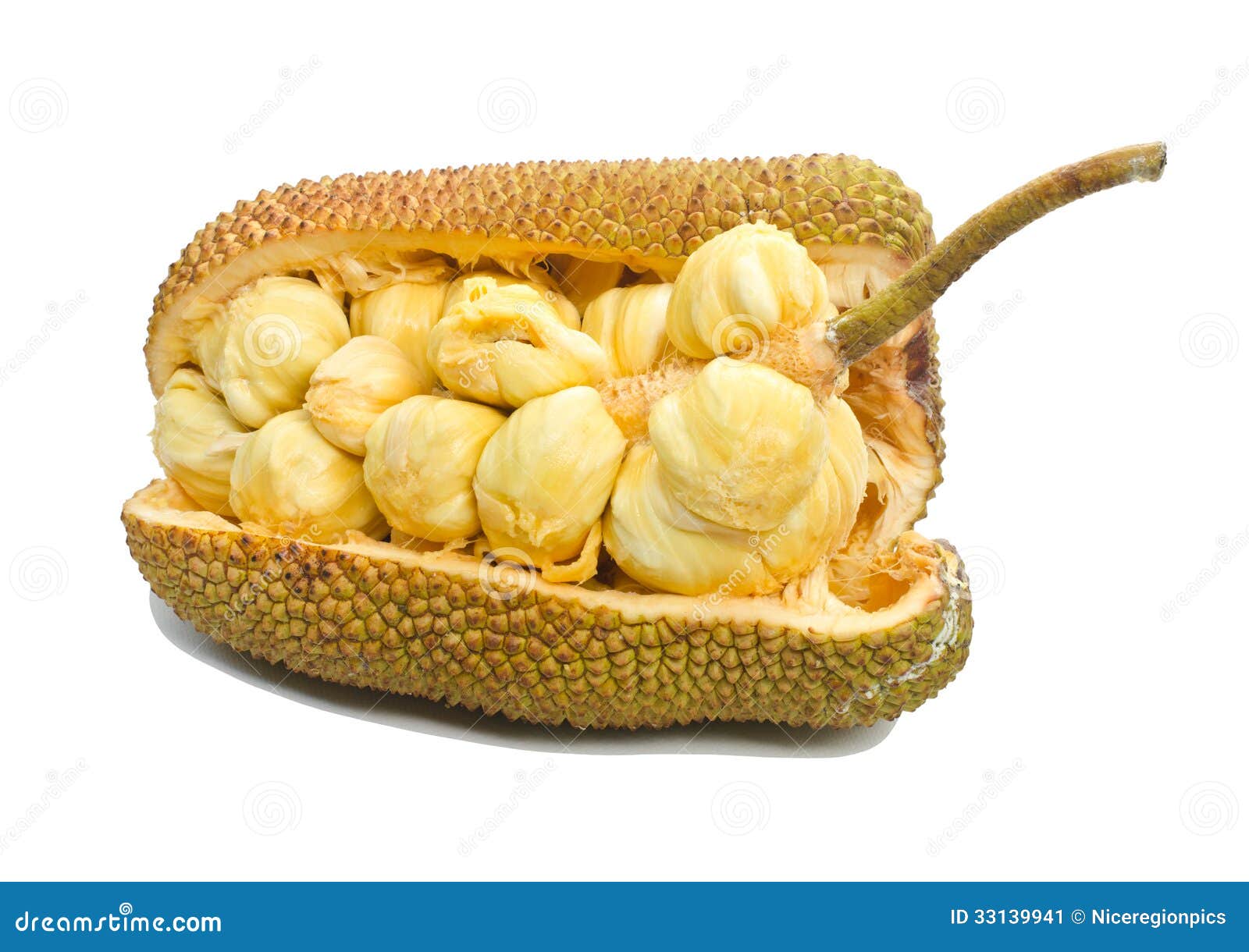 Fruta del Jackfruit. imagen de archivo. Imagen de alimento - 33139941