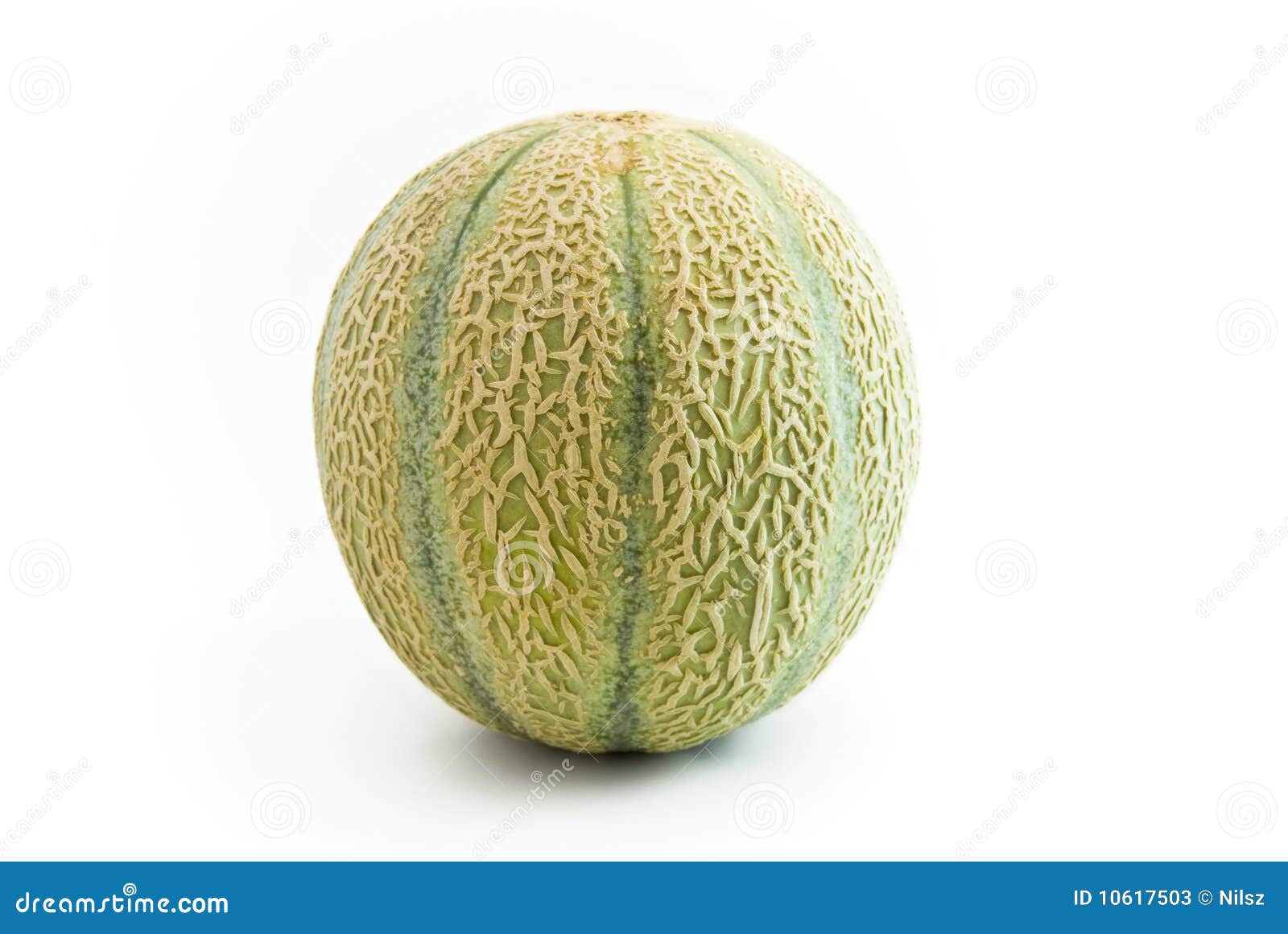 Fruta del melón vertical imagen de archivo. Imagen de vitaminas - 10617503