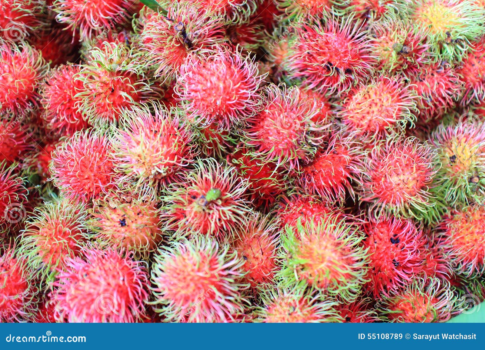 Fruta del Rambutan imagen de archivo. Imagen de relacionado - 55108789