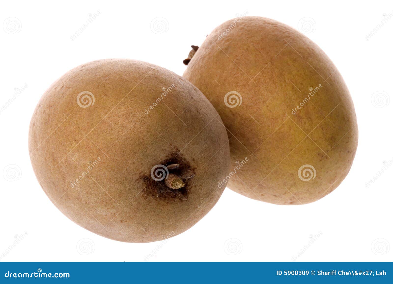 Fruta del zapote imagen de archivo. Imagen de fresco, ingrediente - 5900309