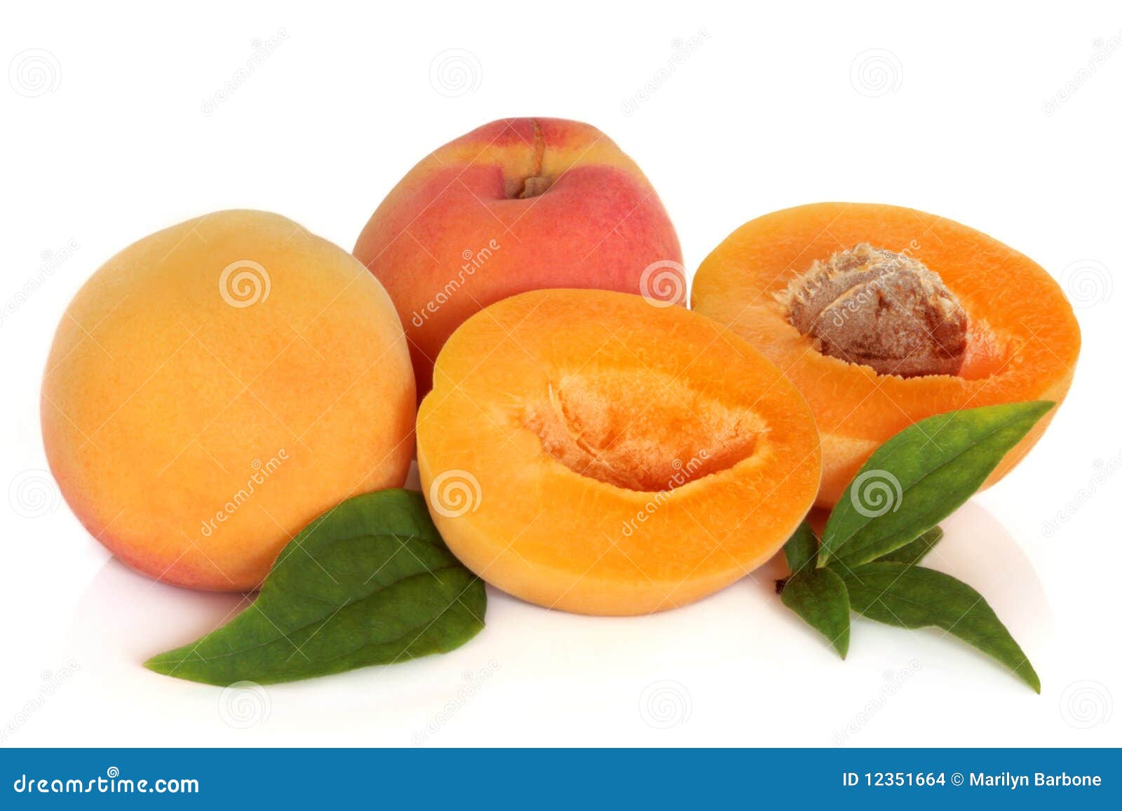 Fruta do alperce foto de stock. Imagem de orgânico, isolado - 12351664