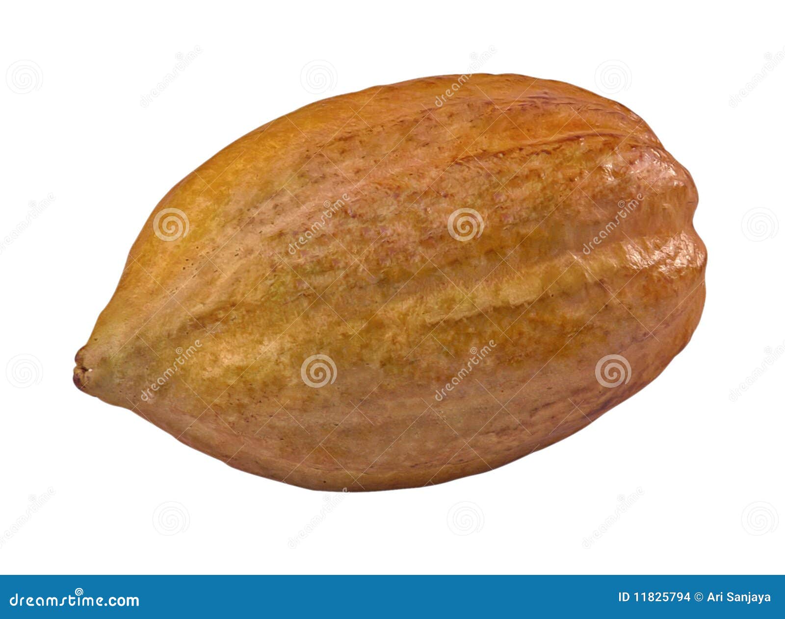 Fruta do cacau foto de stock. Imagem de doce, marrom - 11825794