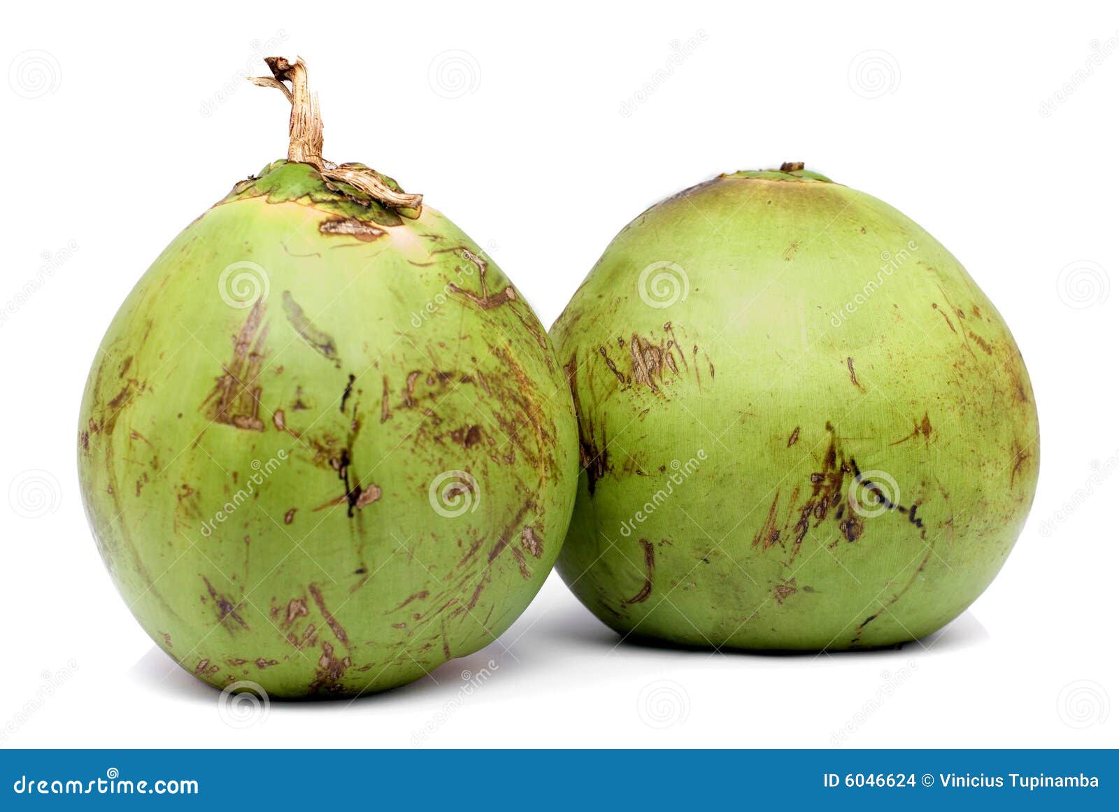 Fruta do coco foto de stock. Imagem de duro, alimento - 6046624