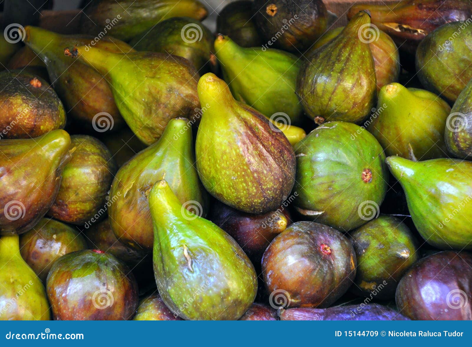 Fruta do figo imagem de stock. Imagem de lindo, indicador - 15144709