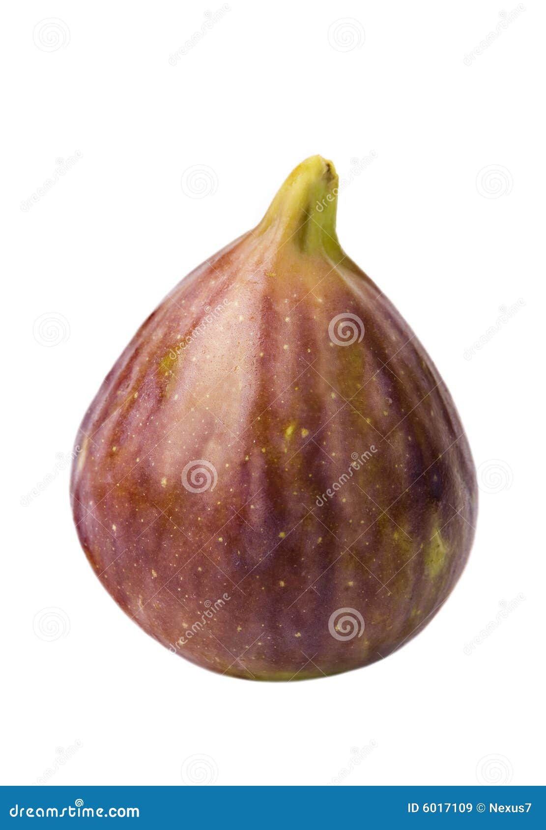 Fruta do figo no branco imagem de stock. Imagem de agricultura - 6017109