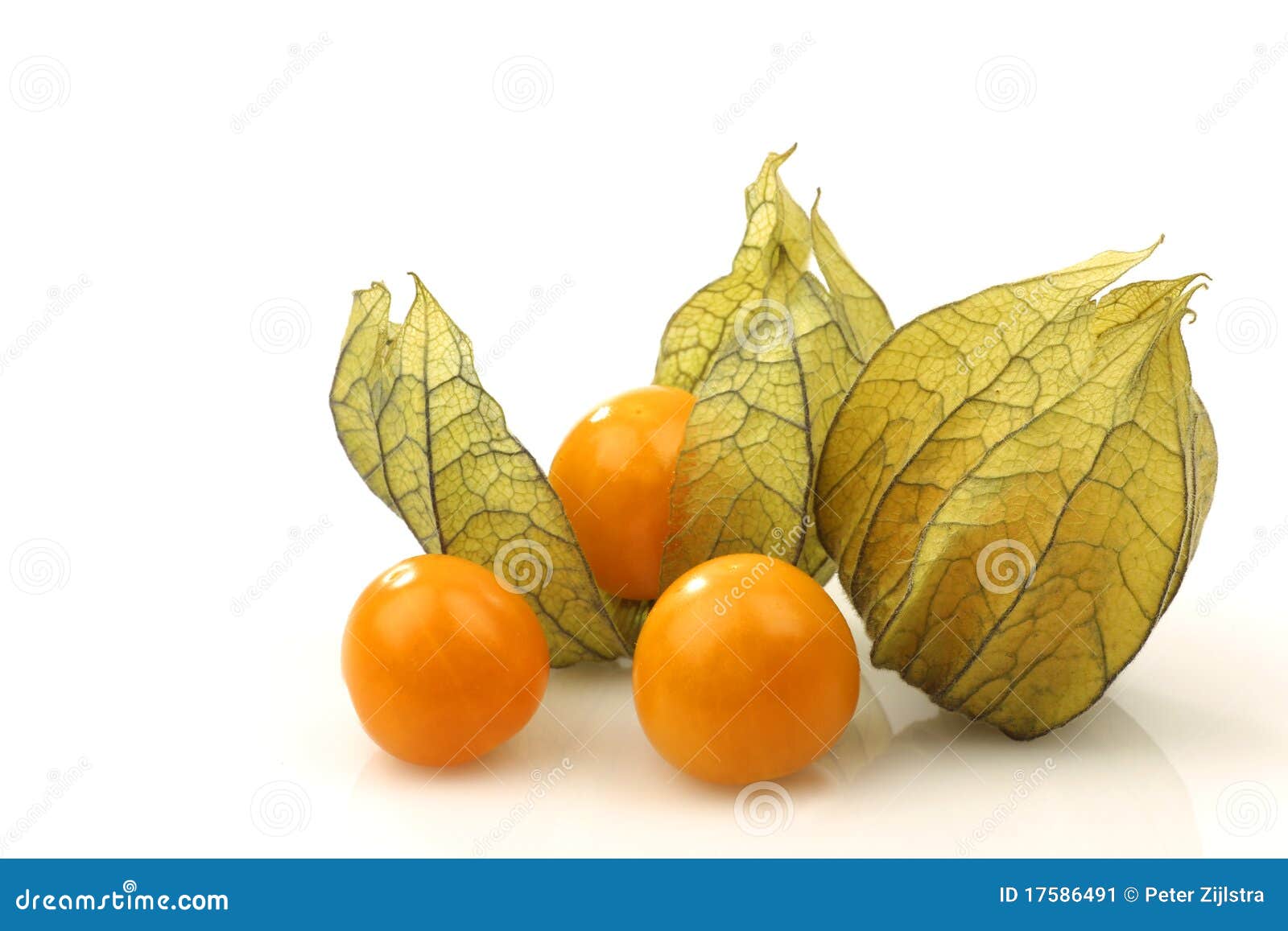 Fruta Do Physalis (peruviana Do Physalis) Imagem de Stock - Imagem de ...