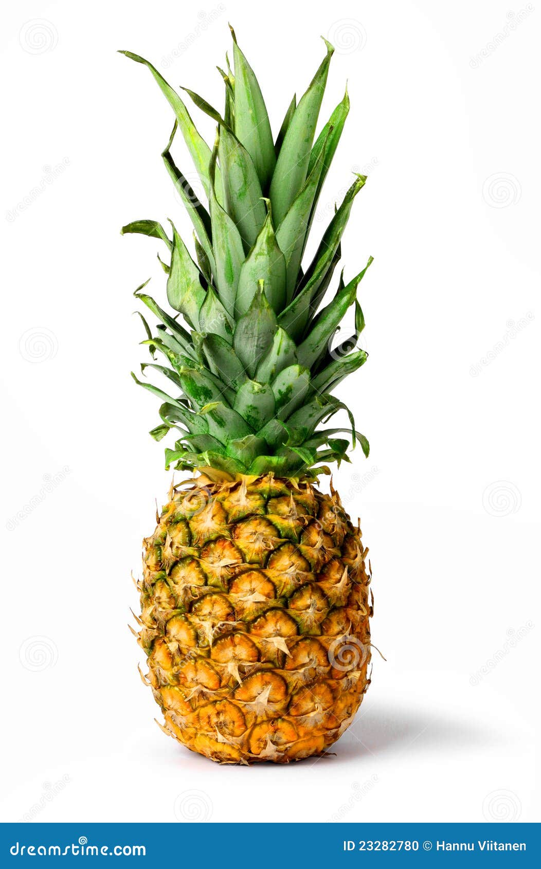 Fruta Fresca De La Piña Aislada Foto de archivo - Imagen de sano, fruta ...