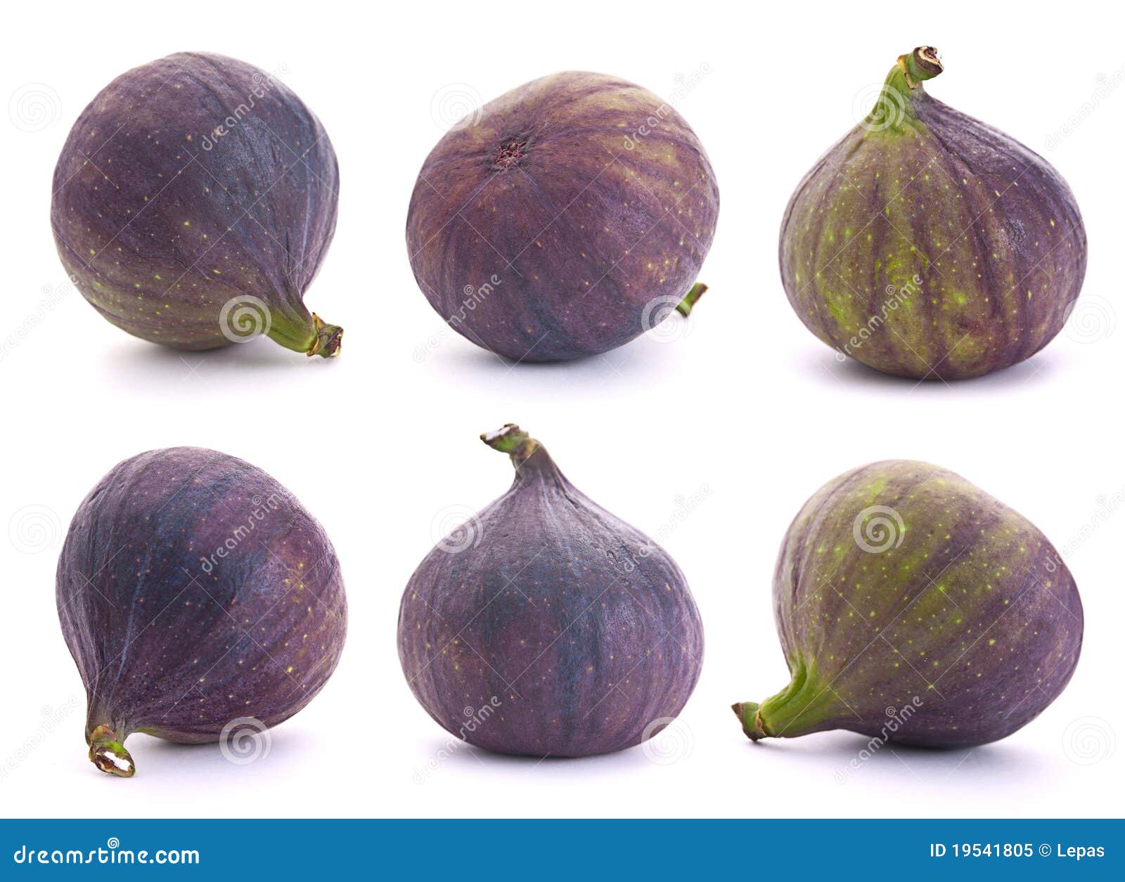 Fruta fresca do figo imagem de stock. Imagem de branco - 19541805