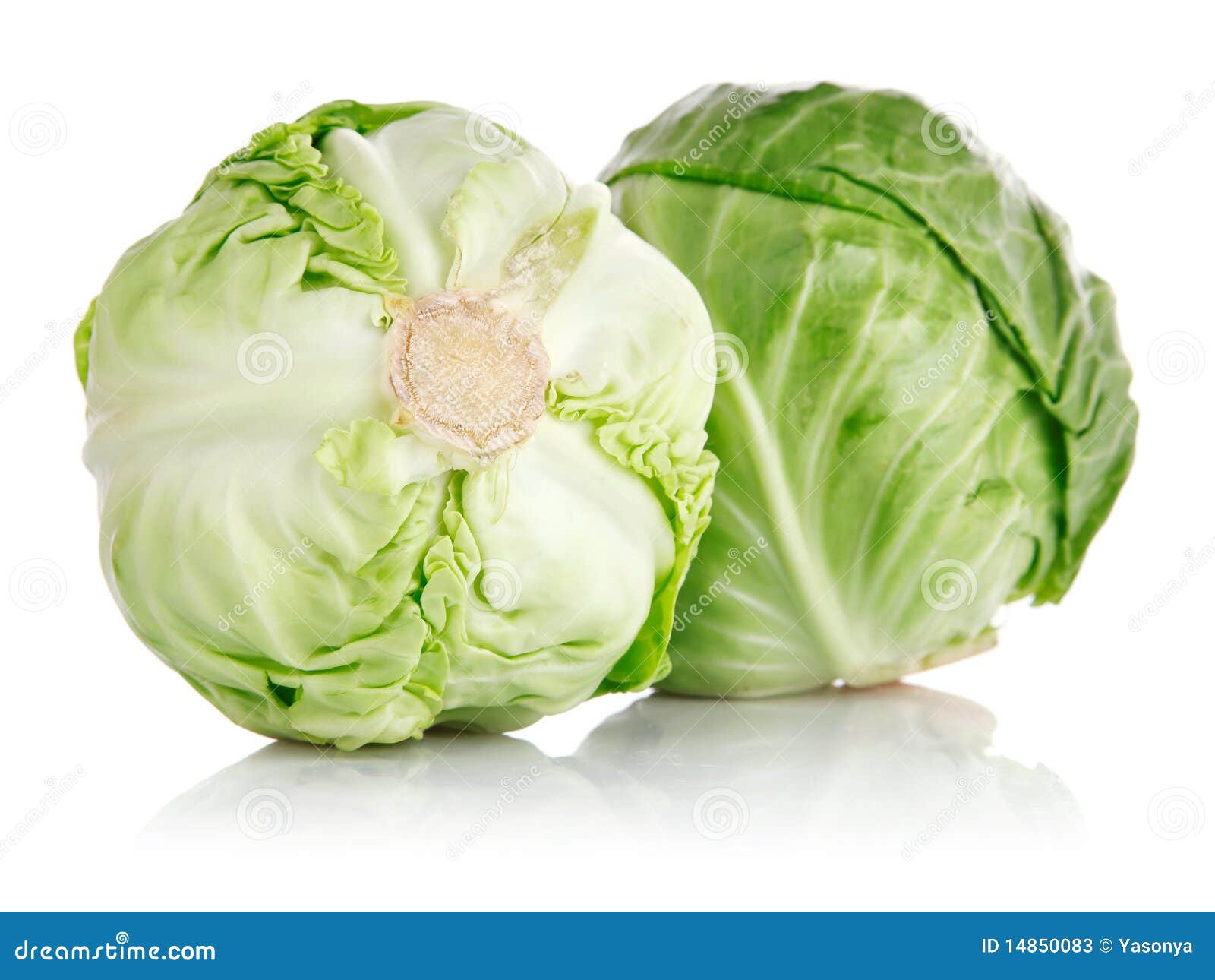 Fruta Fresca Do Repolho Verde Isolada Imagem de Stock - Imagem de dieta ...