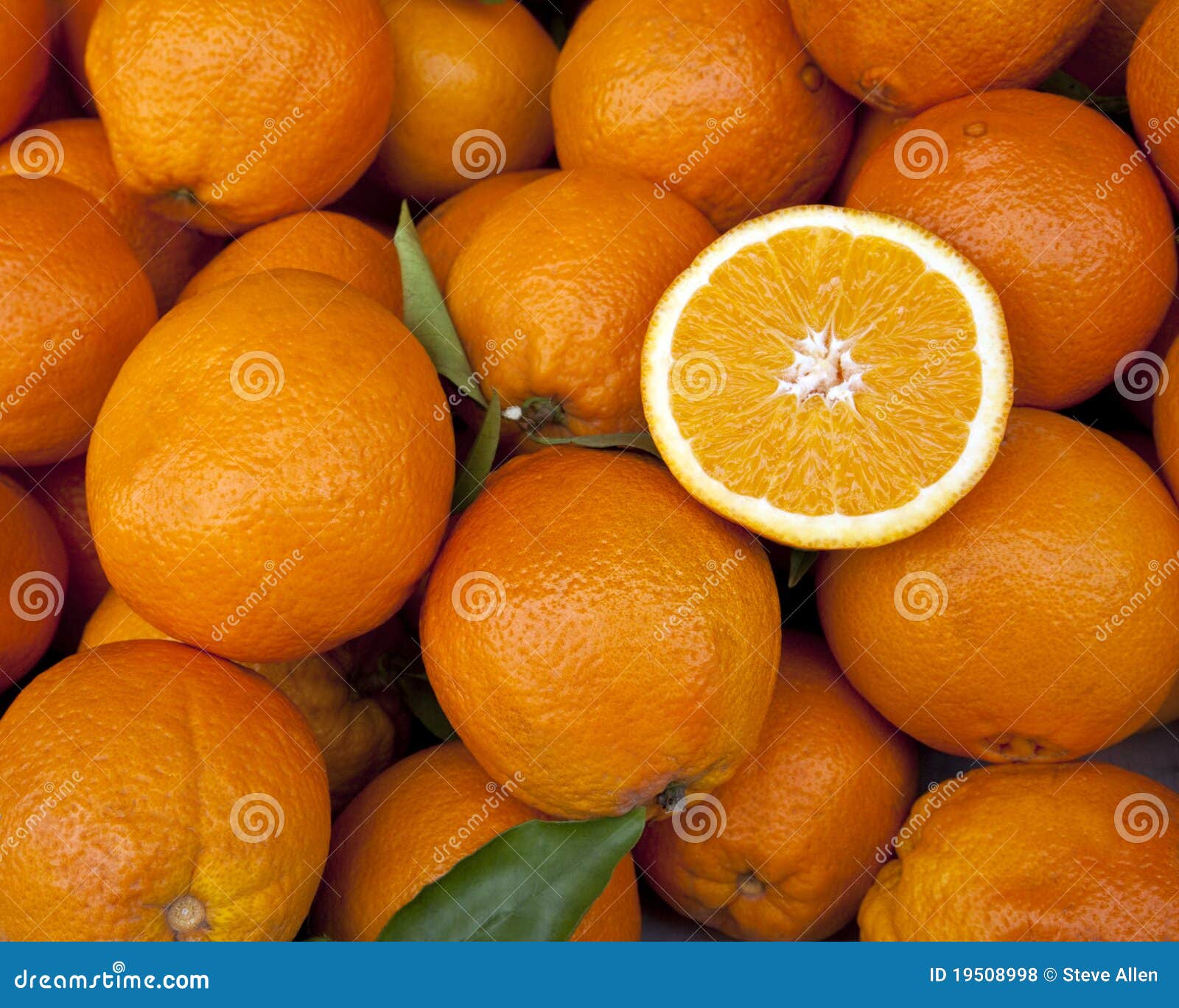 Fruta fresca - laranjas foto de stock. Imagem de colheita - 19508998