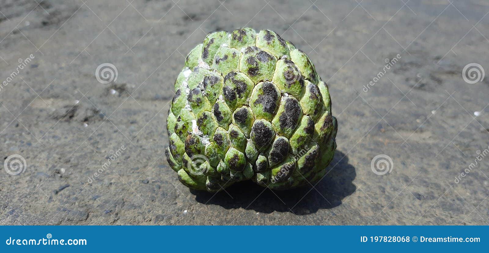 Fruta Fresh Testy Vitamin Food Stock Photo - Image of vitamin, fruta ...