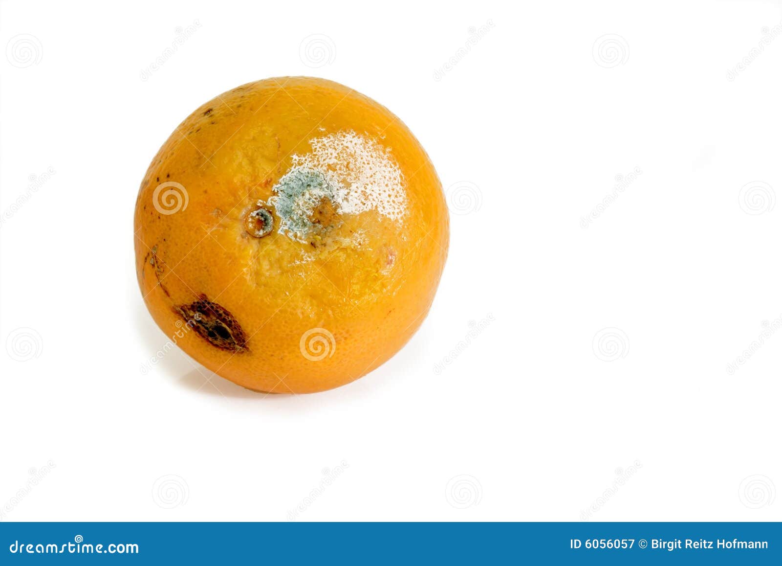 Fruta mohosa imagen de archivo. Imagen de grueso, guardado - 6056057