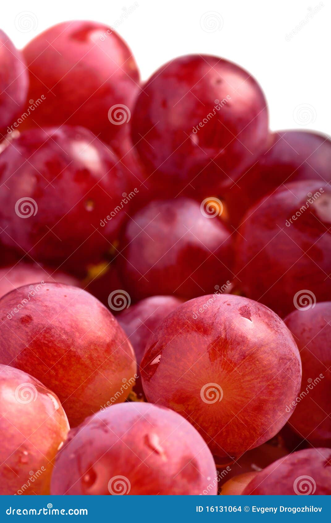 Fruta roxa da uva foto de stock. Imagem de ninguém, roxo - 16131064