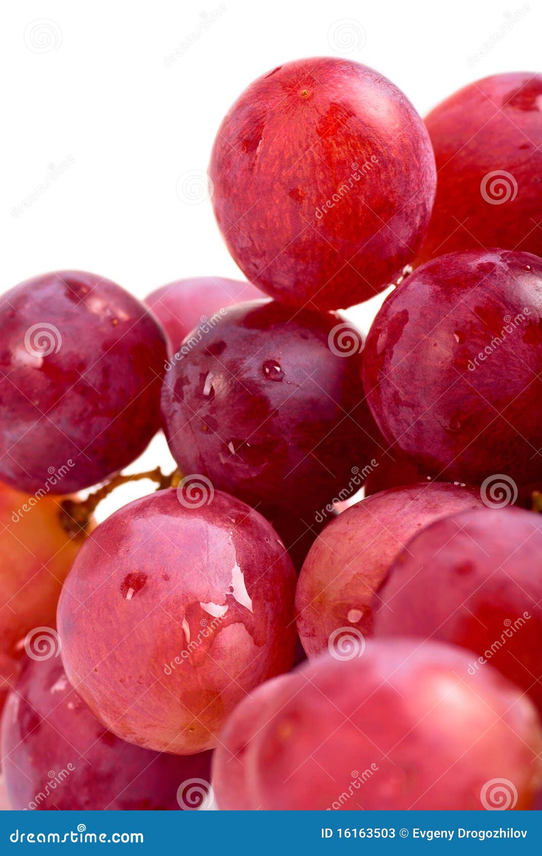 Fruta Roxa Que Parece Uva - FDPLEARN