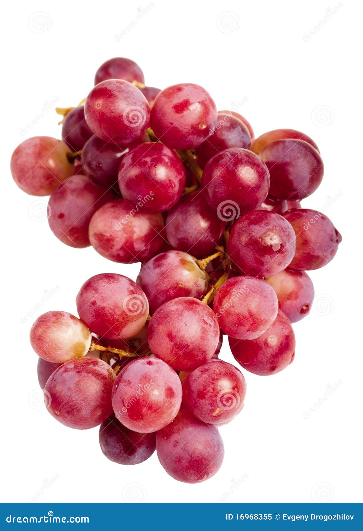 Fruta roxa da uva imagem de stock. Imagem de imagem, ninguém - 16968355