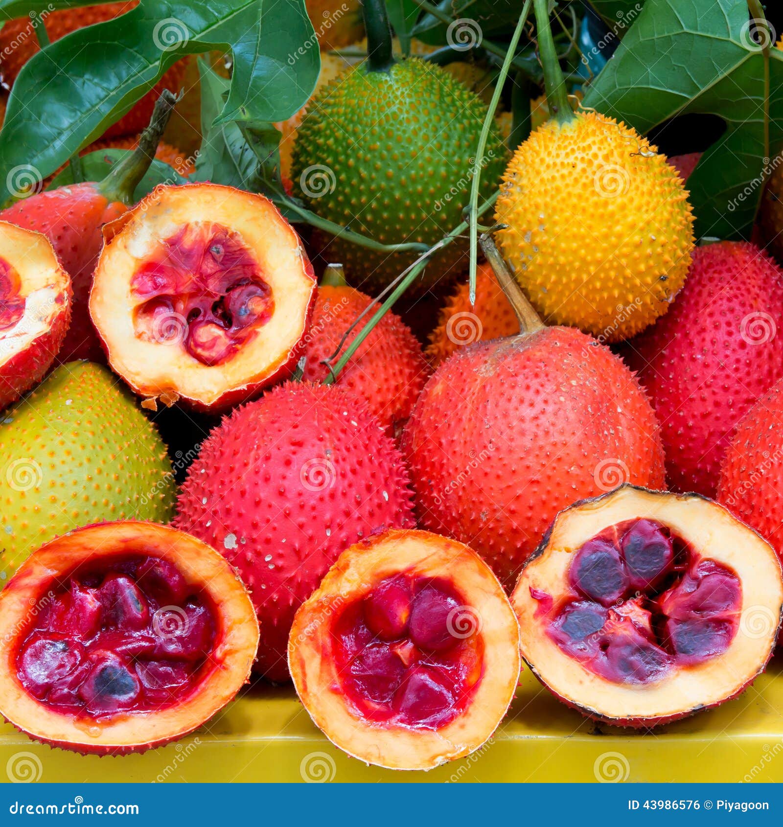 Fruta Sana De La Fruta De Gac Foto de archivo - Imagen de sano, amargo ...