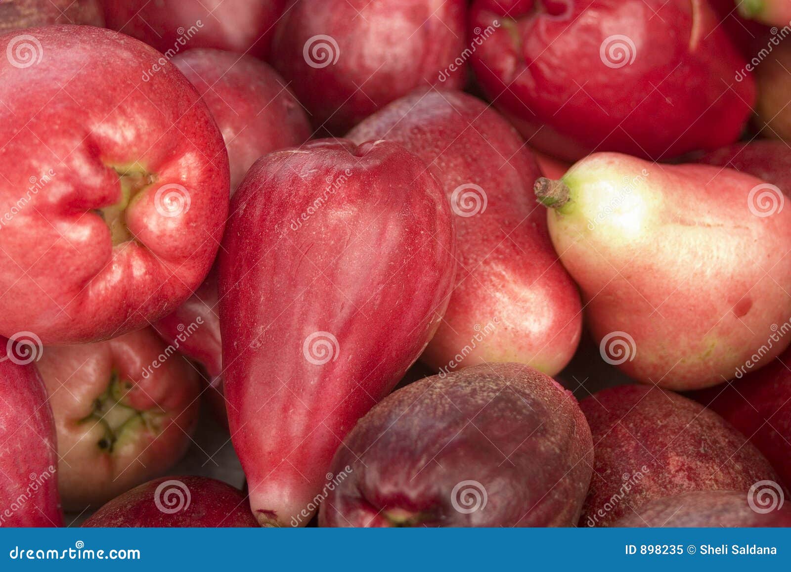 Fruta Vermelha Dois Da Pera Imagem de Stock - Imagem de crescimento ...