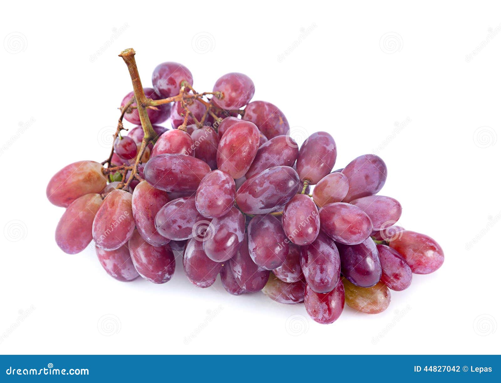 Fruta violeta de la uva foto de archivo. Imagen de travieso - 44827042