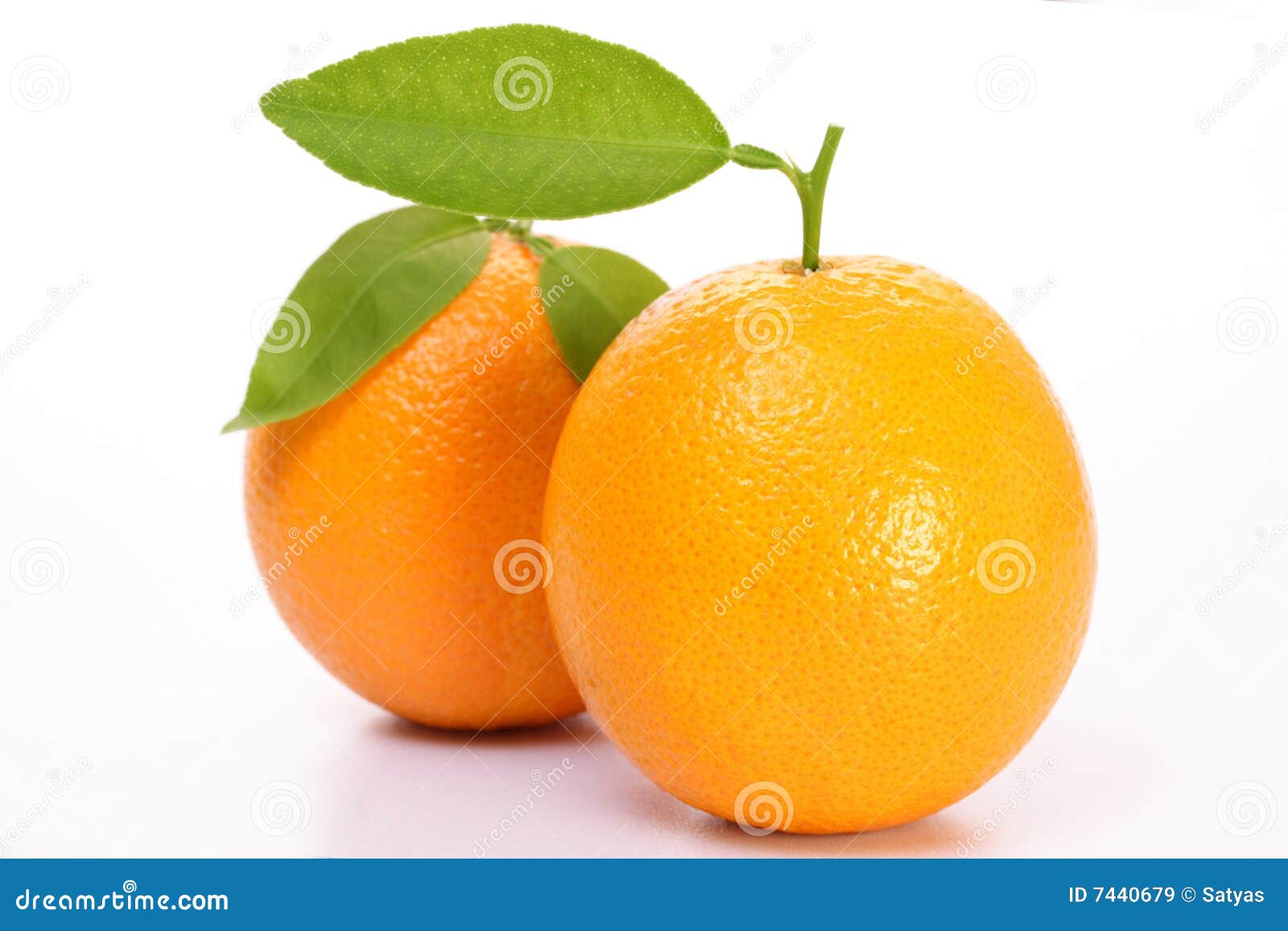 Frutas anaranjadas frescas imagen de archivo. Imagen de alimentos - 7440679