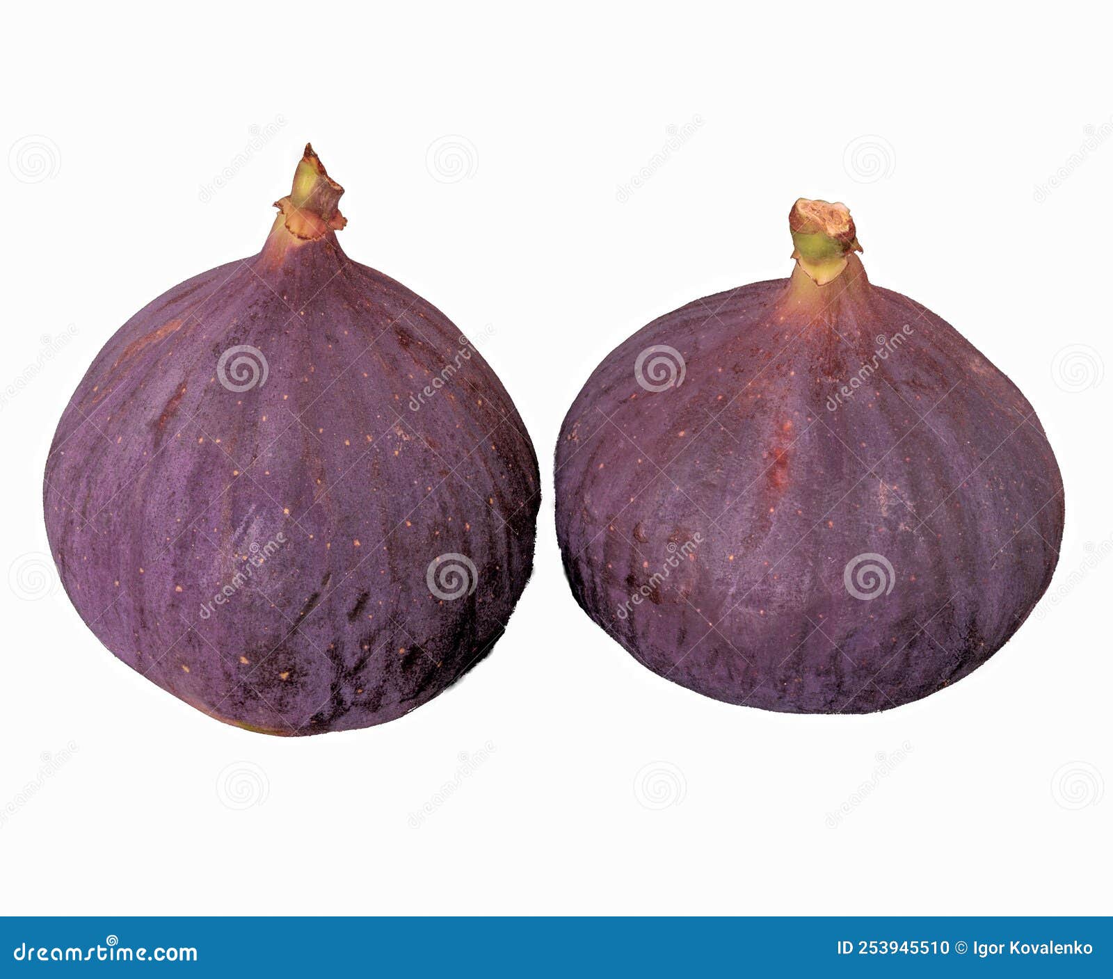 Frutas Con Higos Sobre Un Fondo Blanco Foto de archivo - Imagen de ...