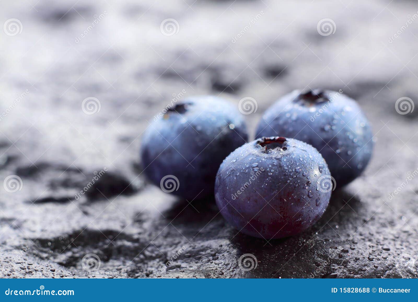 Frutas Da Uva-do-monte (uva-do-monte Do Norte De Highbush) Foto de ...