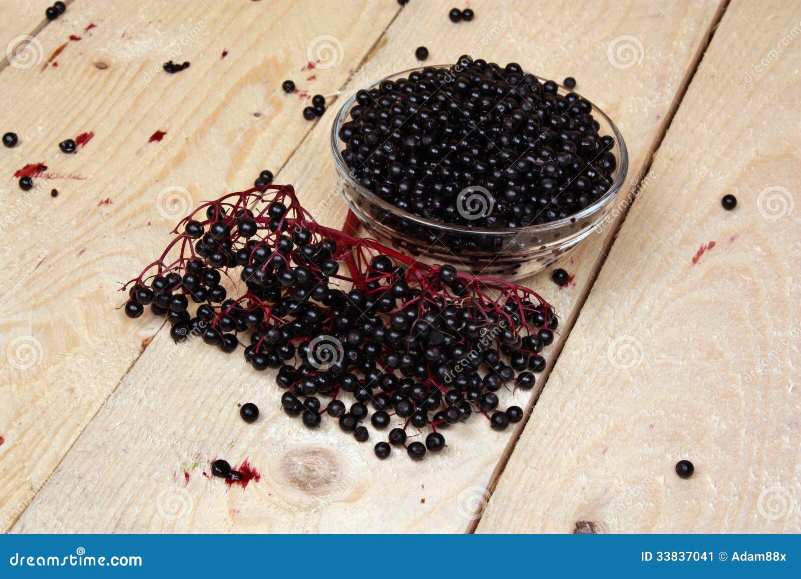 Frutas De La Baya Del Saúco Imagen de archivo - Imagen de bebida ...