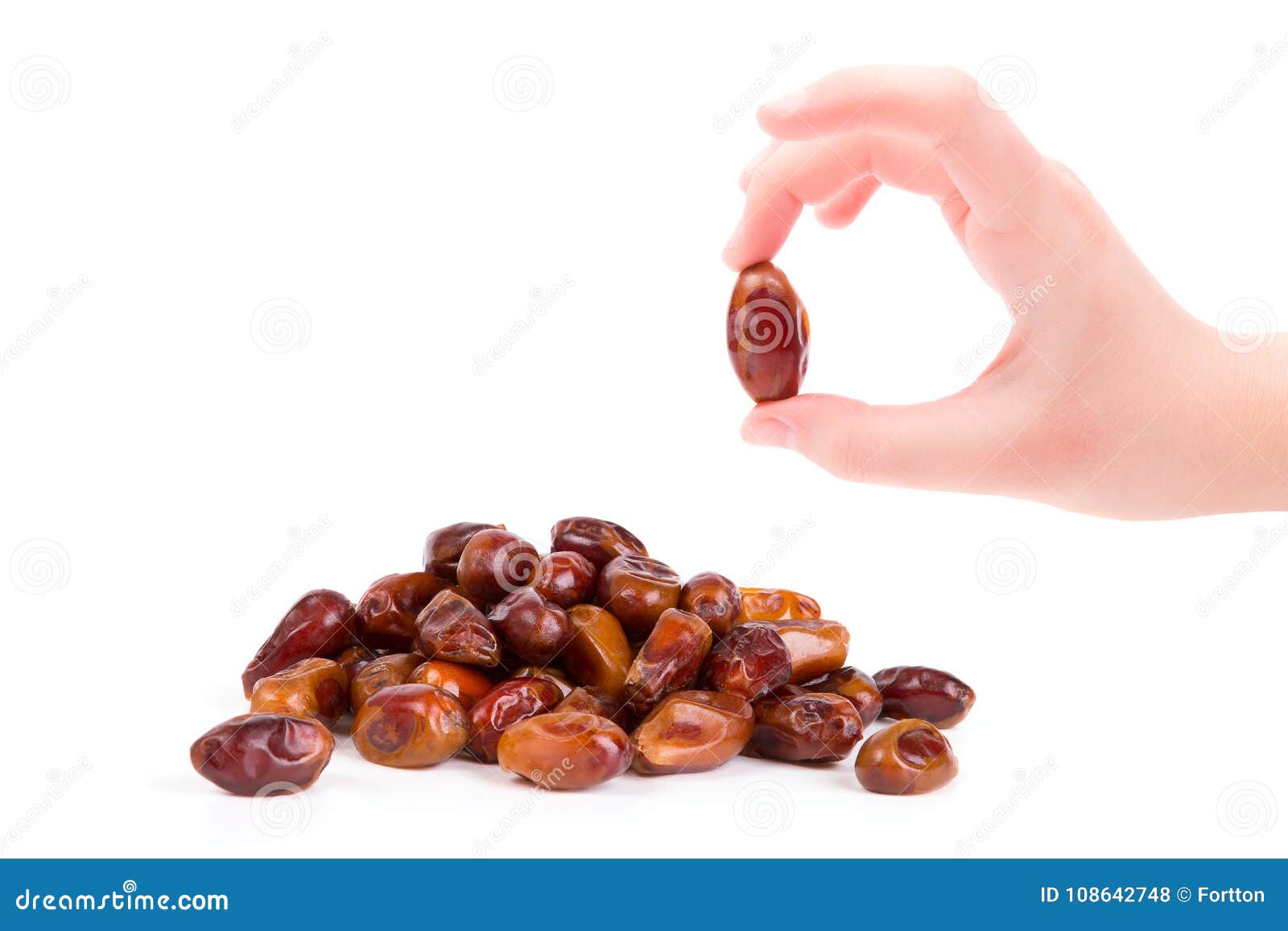 Frutas De La Palma Datilera Foto de archivo - Imagen de tropical ...