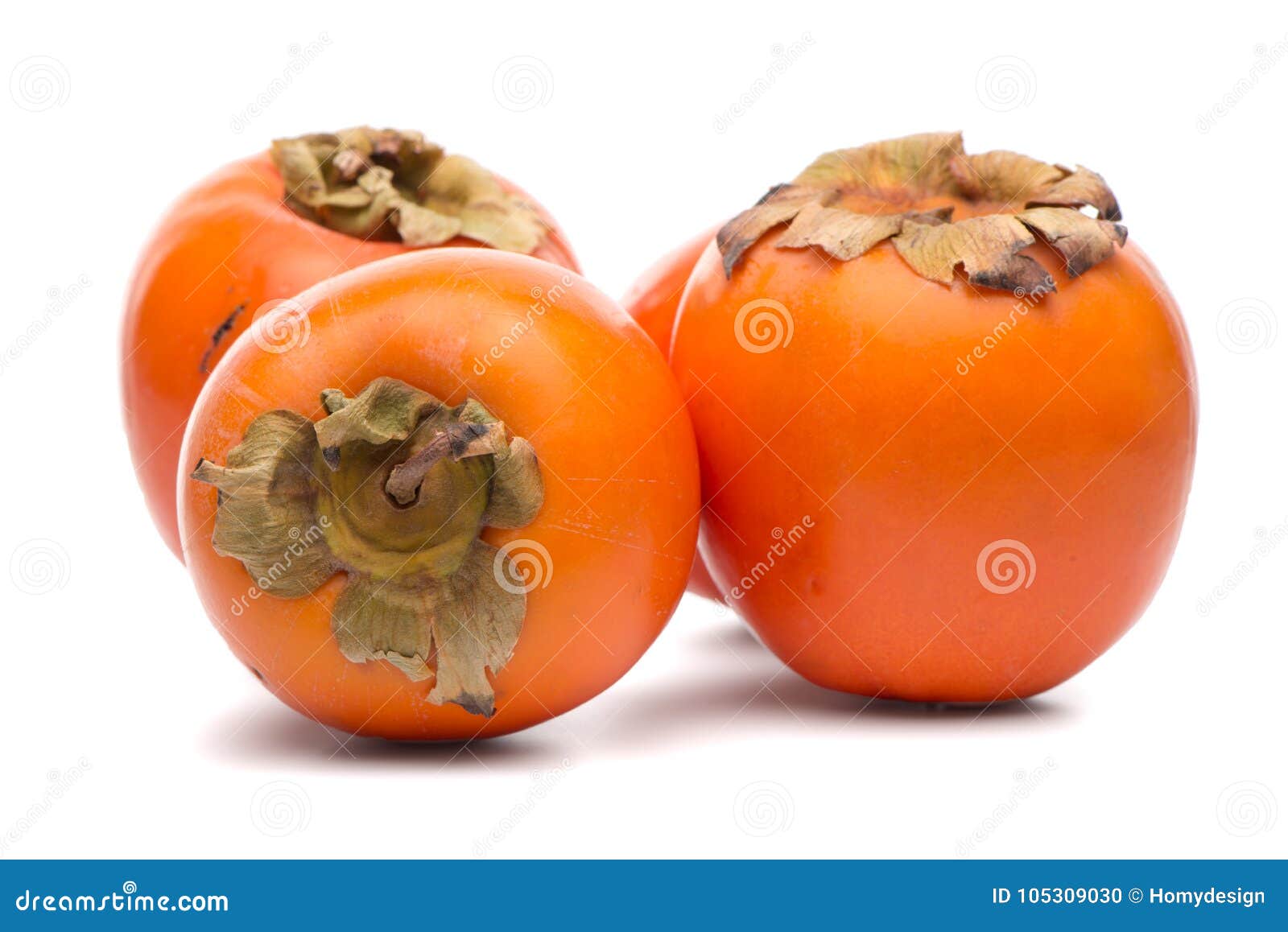 Frutas del caqui en blanco foto de archivo. Imagen de caqui - 105309030