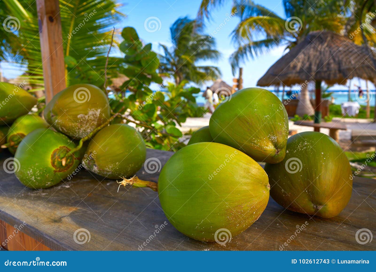 Frutas Del Caribe Del Coco En Maya De Riviera Imagen de archivo ...