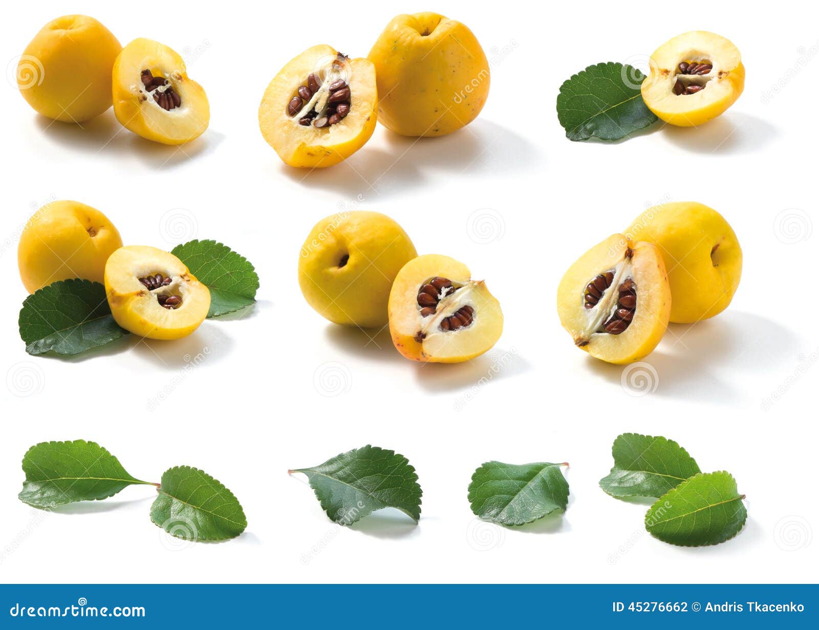 Frutas del membrillo foto de archivo. Imagen de cierre - 45276662