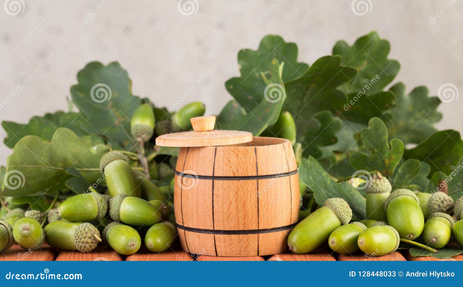Frutas del roble imagen de archivo. Imagen de cubo, alimento - 128448033