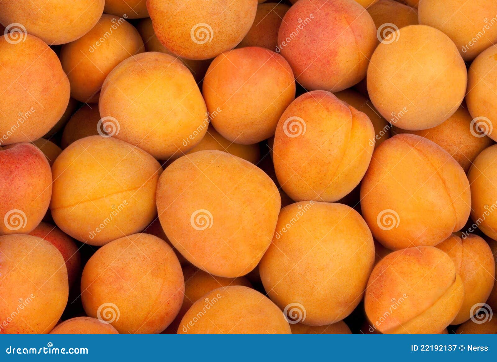 Frutas do alperce imagem de stock. Imagem de sabor, sobremesa - 22192137