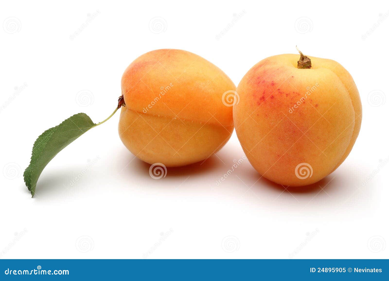 Frutas do alperce imagem de stock. Imagem de fruta, grupo - 24895905