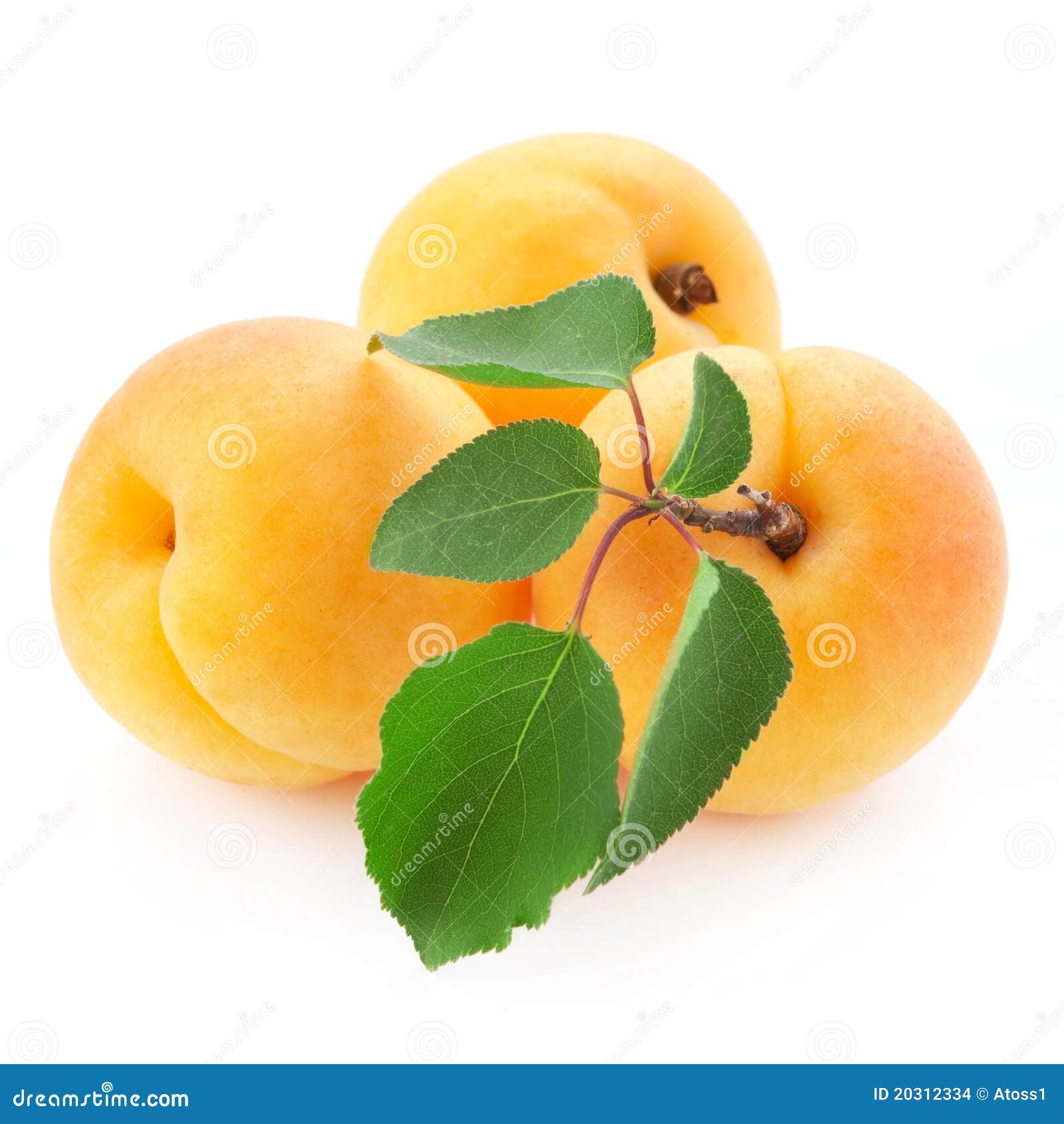 Frutas do alperce isoladas foto de stock. Imagem de perfumado - 20312334