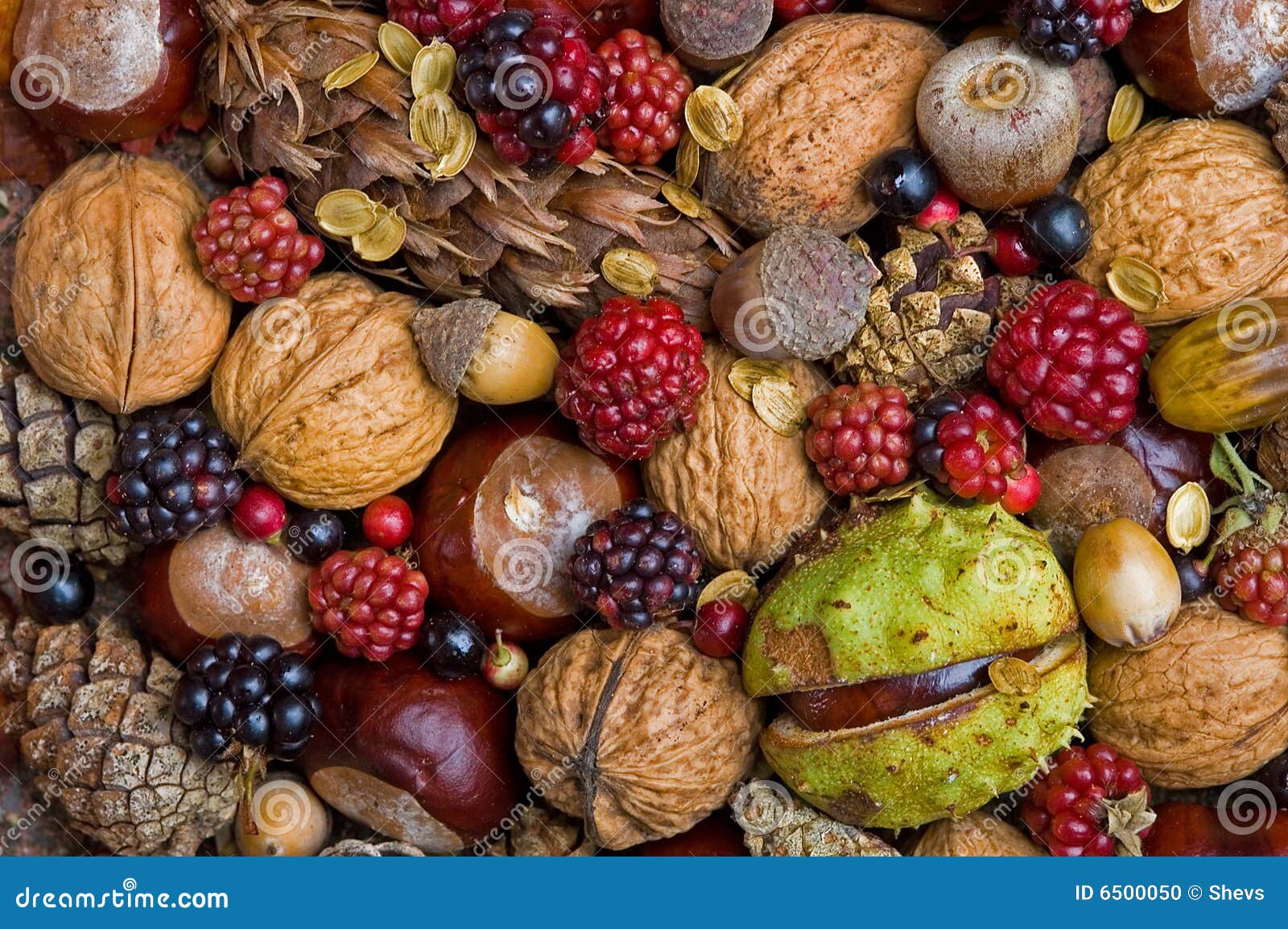 Frutas do outono foto de stock. Imagem de sazonal, fundo - 6500050