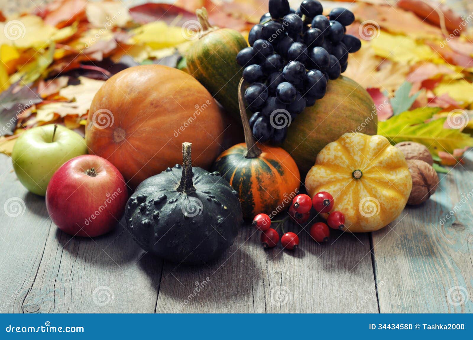 Frutas e legumes do outono foto de stock. Imagem de ingrediente - 34434580