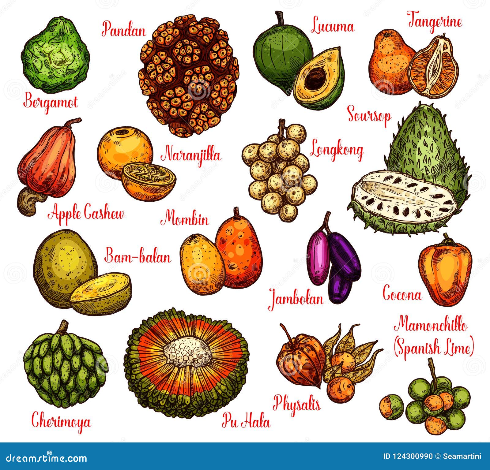 Lista De Frutas Tropicales Exóticas